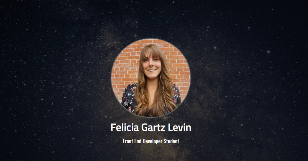 Felicia Gartz Levin - CV